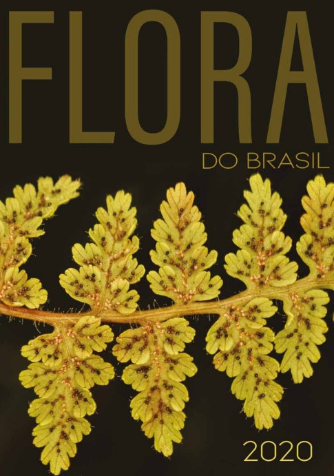 Lançamento da Flora do Brasil 2020 – Herbário Prisco Bezerra (EAC)
